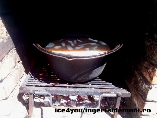 Tot ceaunul/tuciul e baza | IceWorld|DeuteriumCore